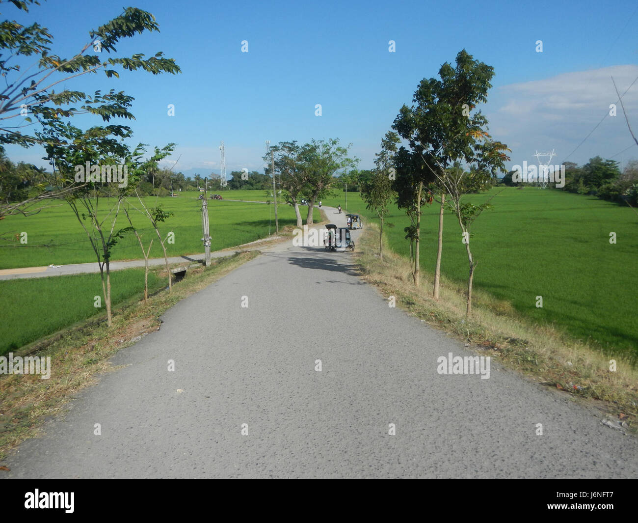 Pritil in Guiguinto, Bulacan, features expansive paddy fields, trees ...