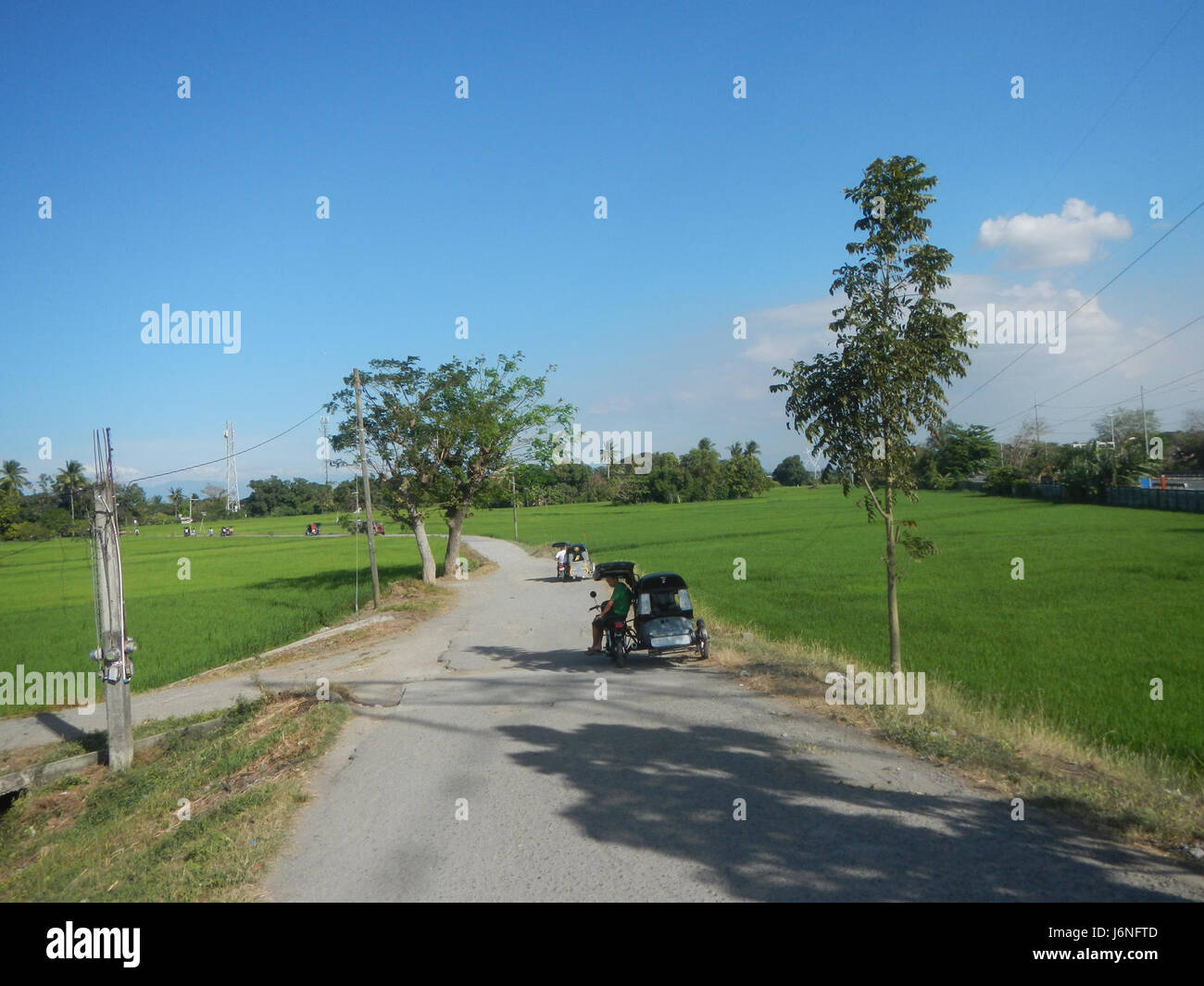 A photograph showcasing the Pritil paddy fields and surrounding ...