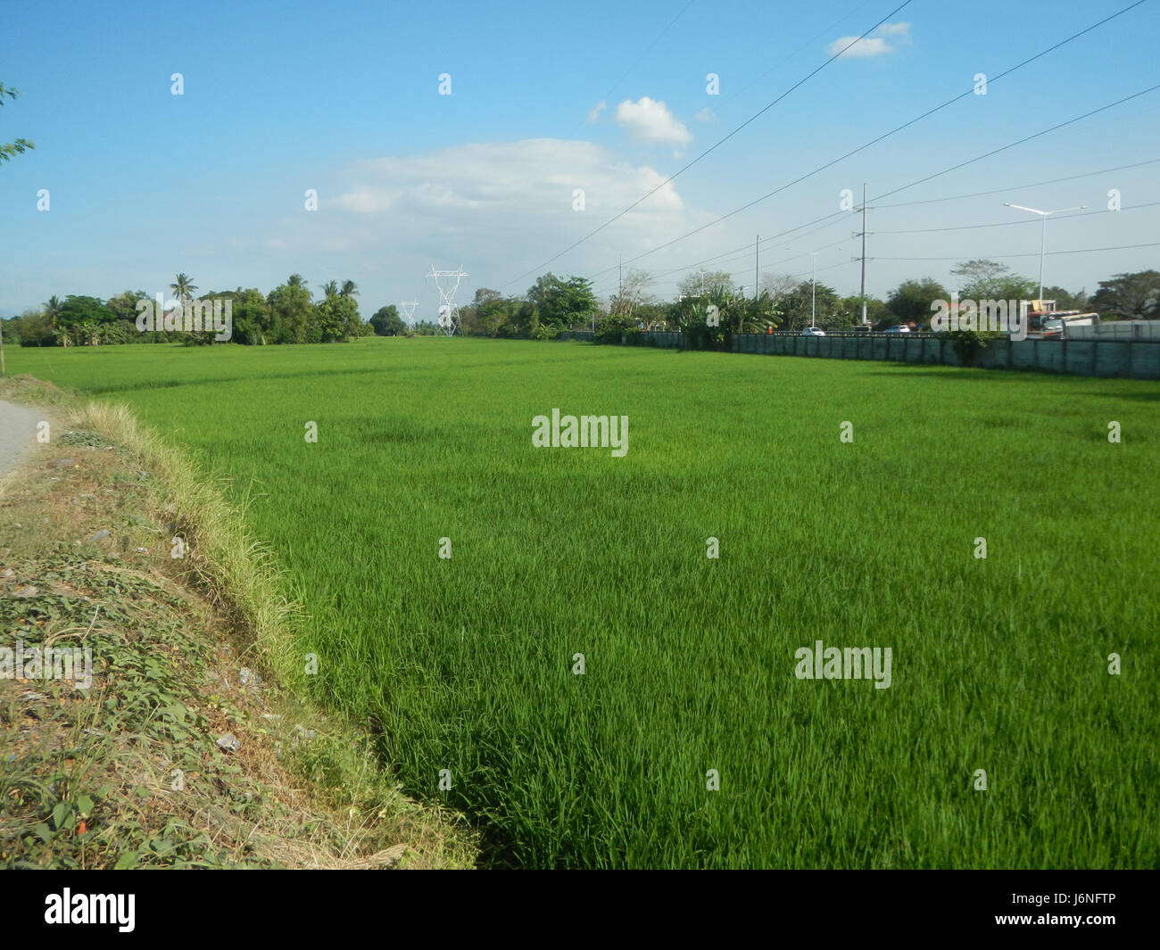 09510 Pritil paddy fields trees grasslands irrigation Roads Guiguinto ...