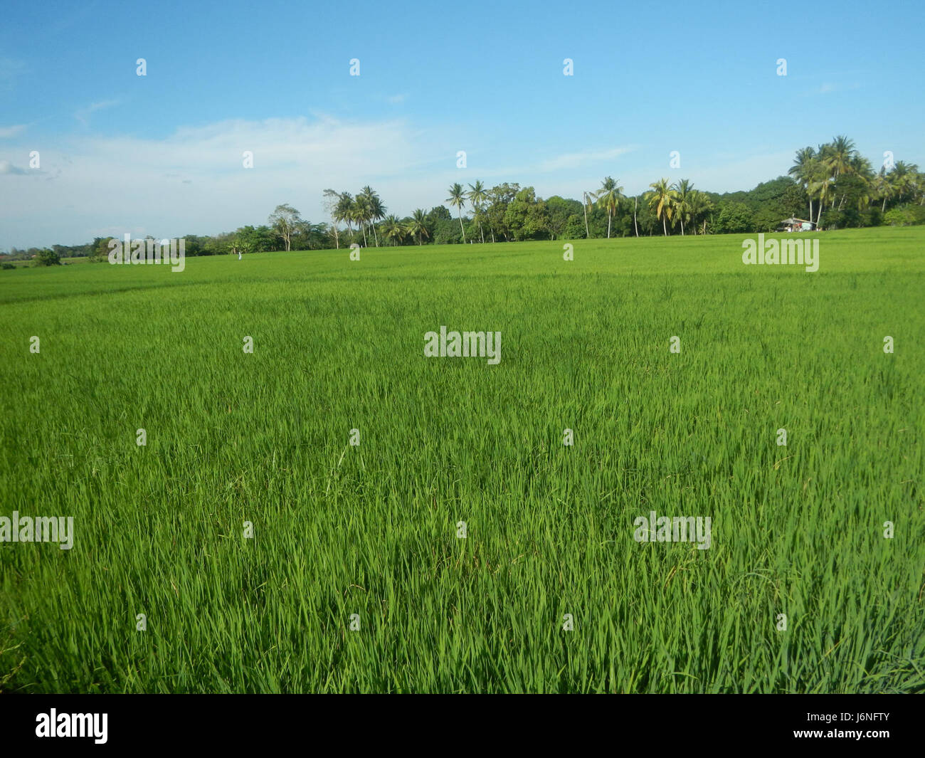 A reference to the Pritil area in Guiguinto, Bulacan, Philippines ...