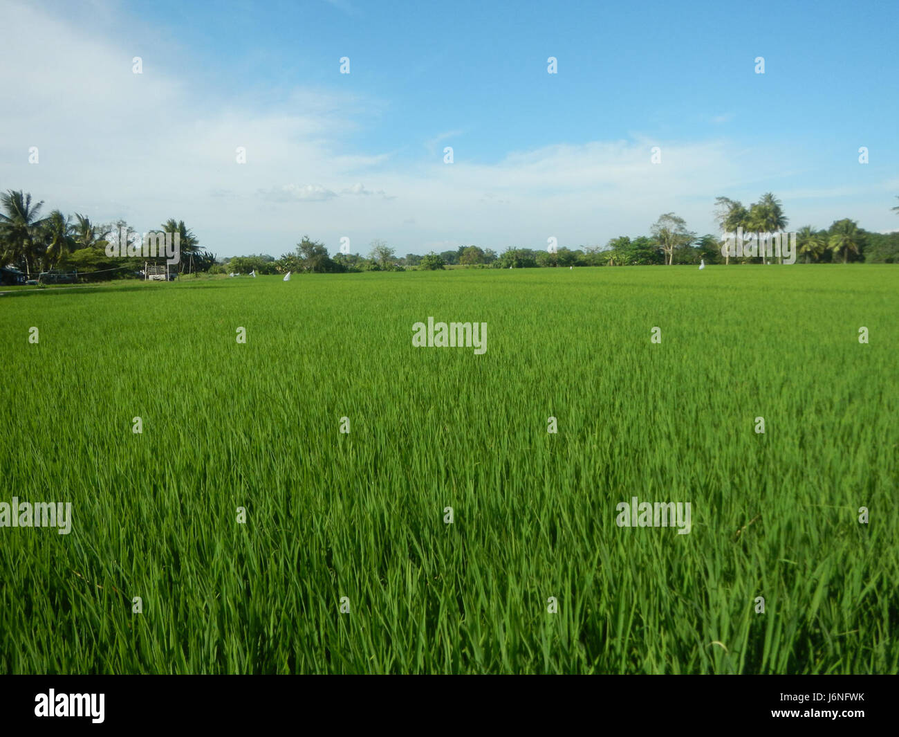 This image captures the landscape of Guiguinto, Bulacan, featuring ...