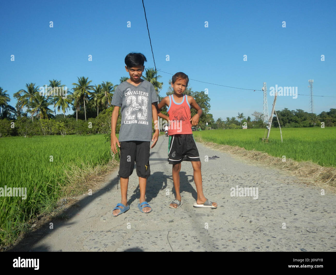 This photograph shows the Pritil paddy fields in Guiguinto, Bulacan ...