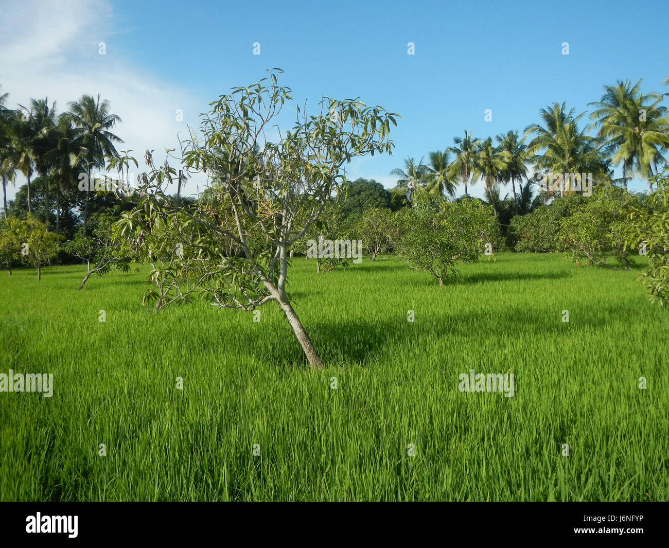 This title likely refers to an image or map of the Pritil area in ...