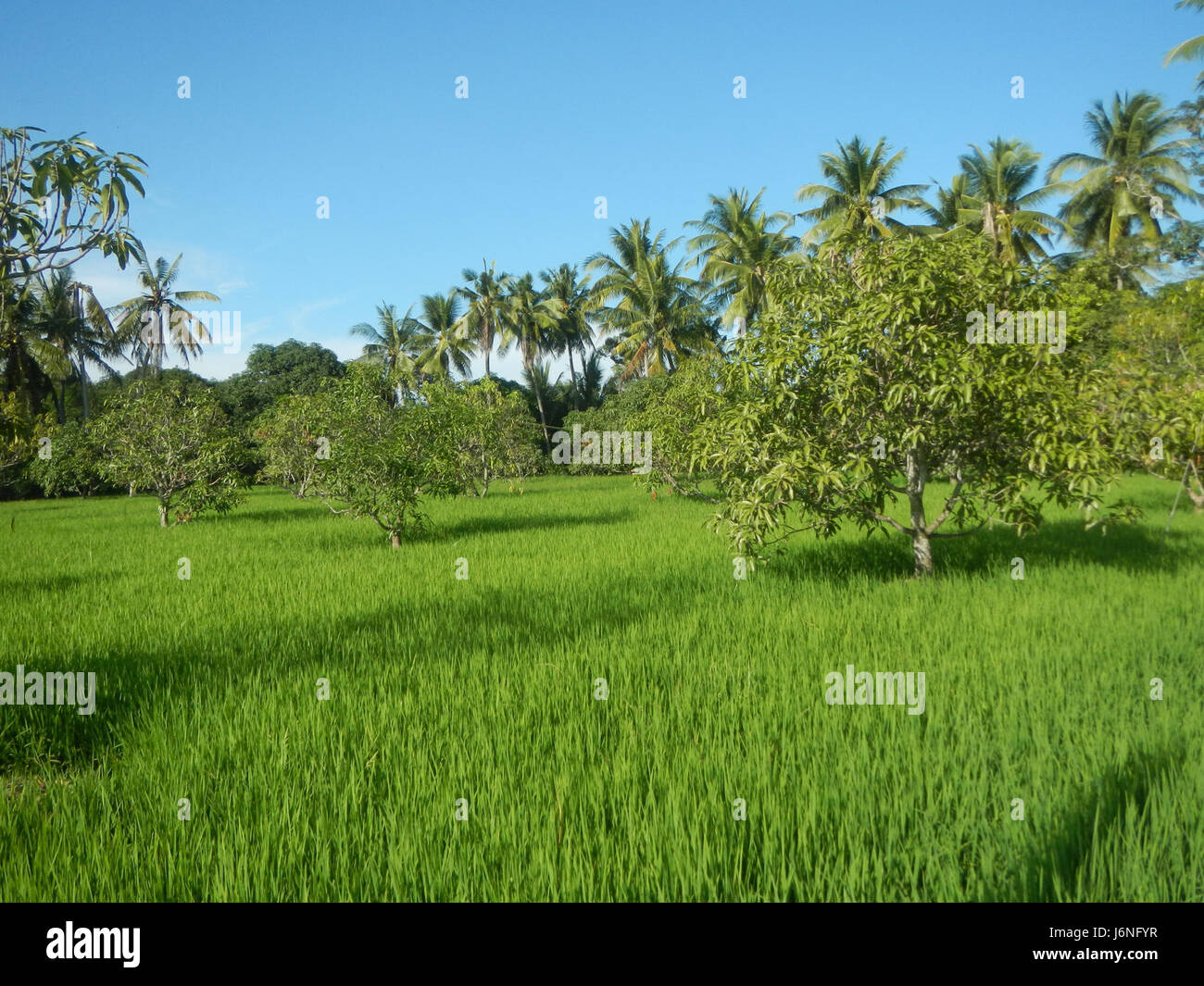 This image depicts the Pritil area in Guiguinto, Bulacan, Philippines ...
