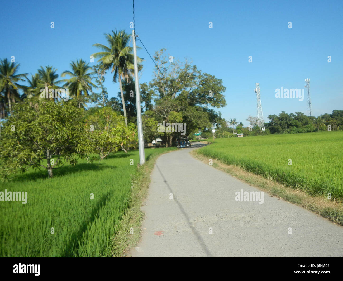 This image shows the agricultural landscape of Pritil in Guiguinto ...