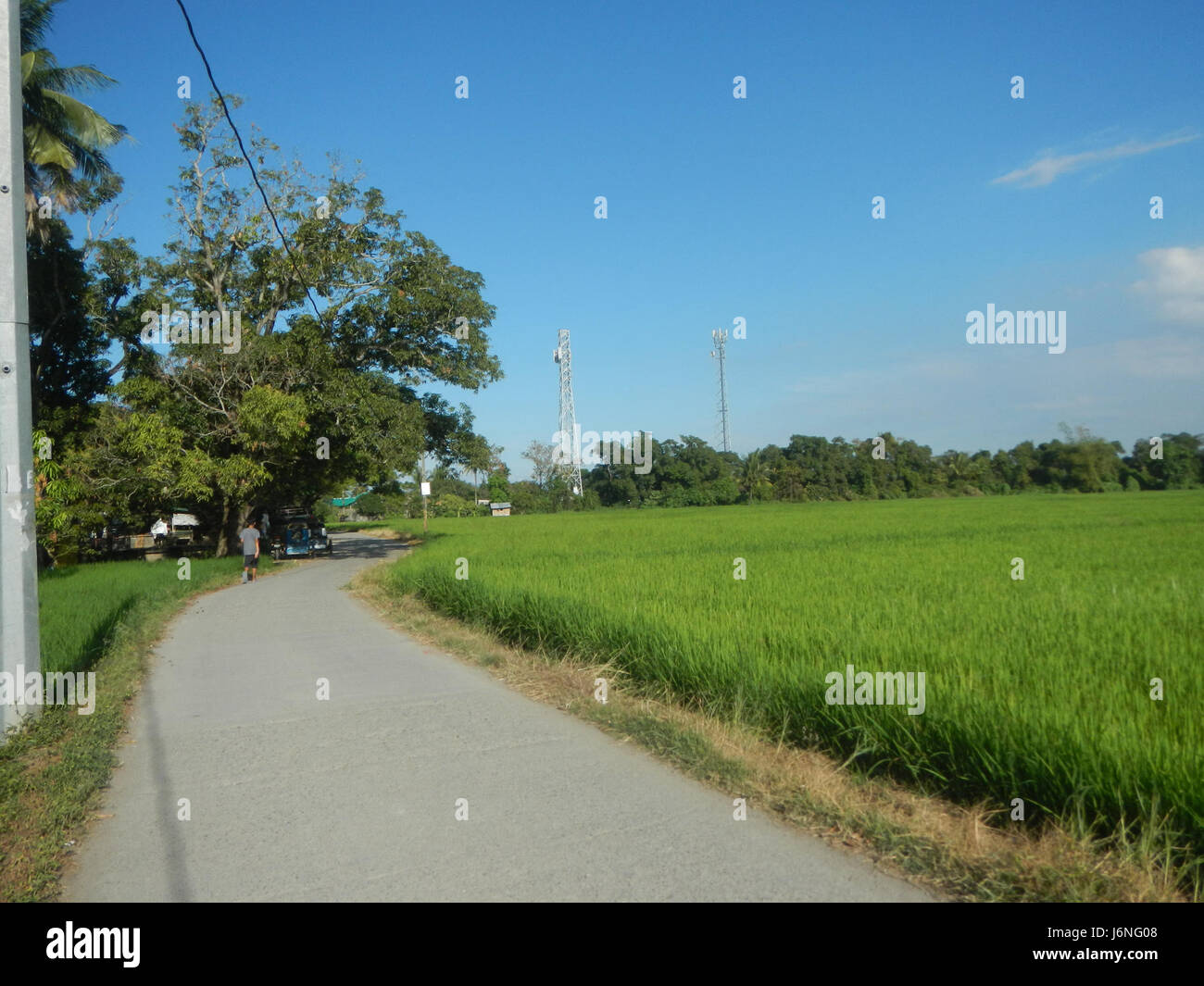 The Pritil area in Guiguinto, Bulacan, features expansive paddy fields ...
