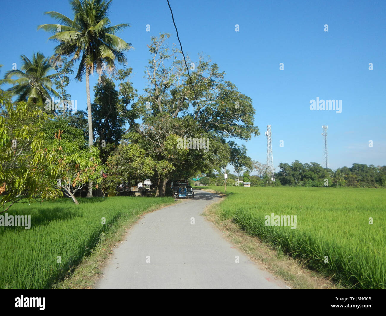 A view of the Pritil paddy fields in Guiguinto, Bulacan, showcasing ...
