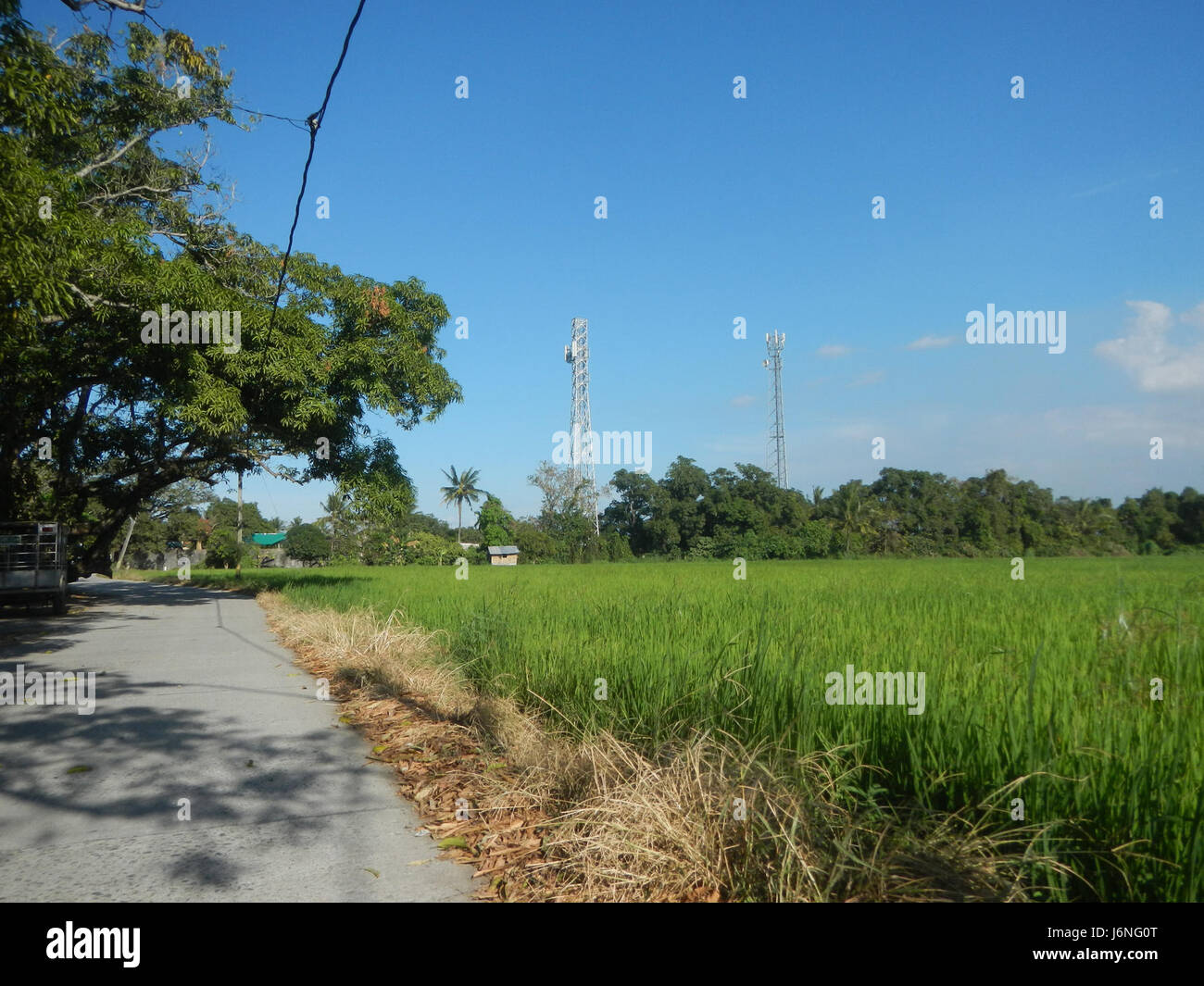 This image captures the rural landscape of Pritil in Guiguinto, Bulacan ...