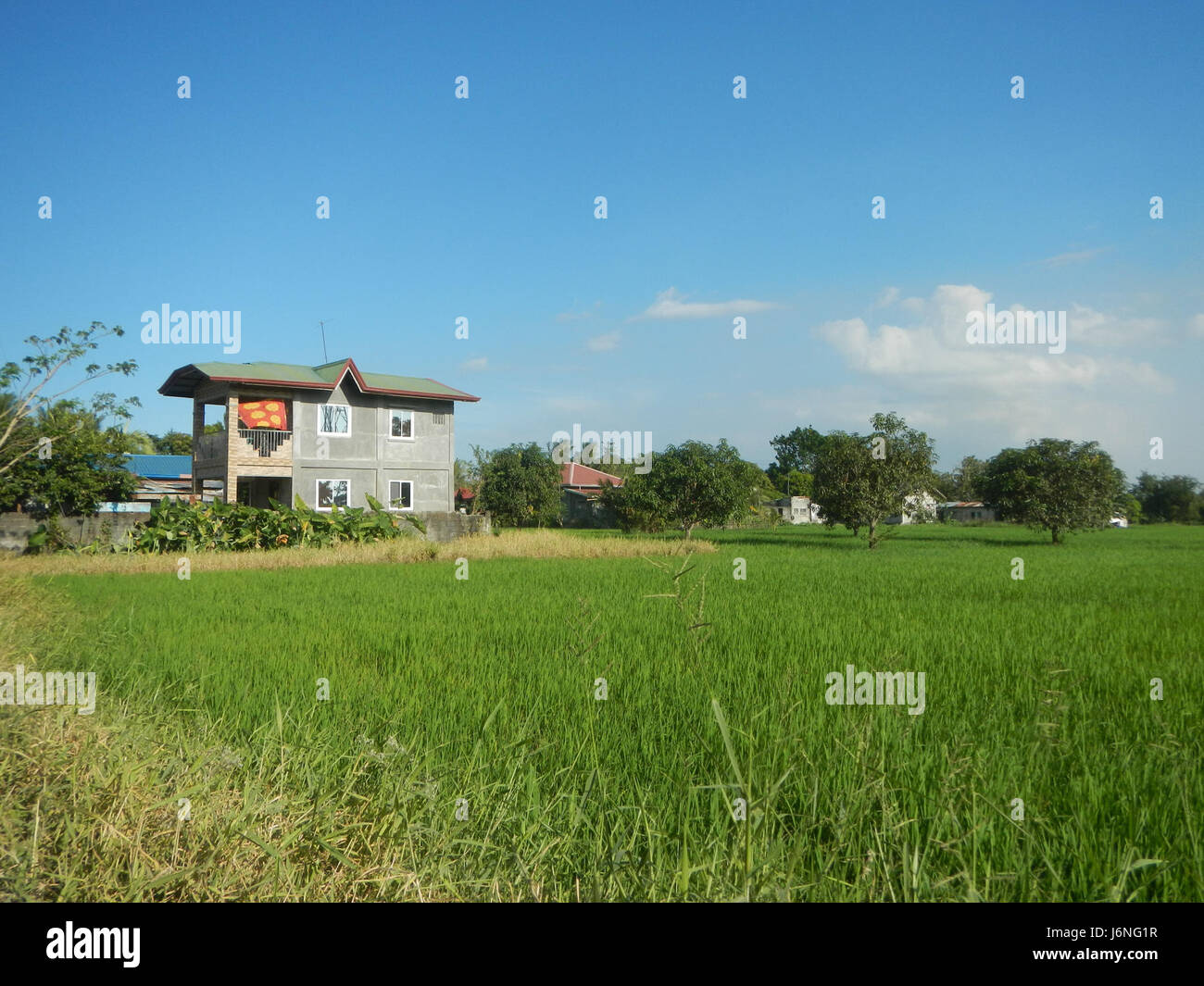 This image features the rural landscape of Pritil, Guiguinto, Bulacan ...