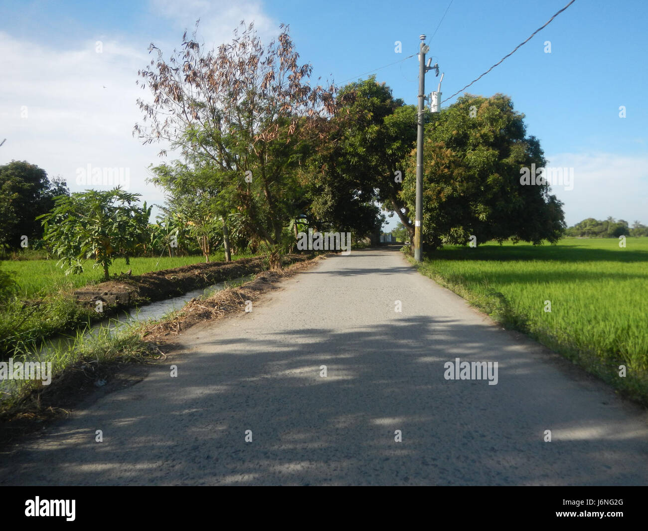 This photograph captures the paddy fields, irrigation systems, and lush ...