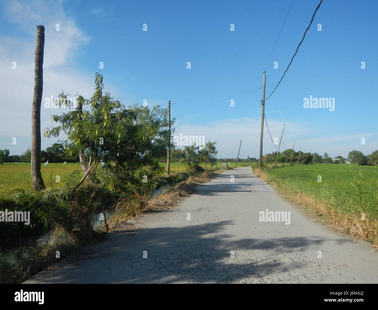 This image depicts the rural landscape of Pritil, Guiguinto, Bulacan ...