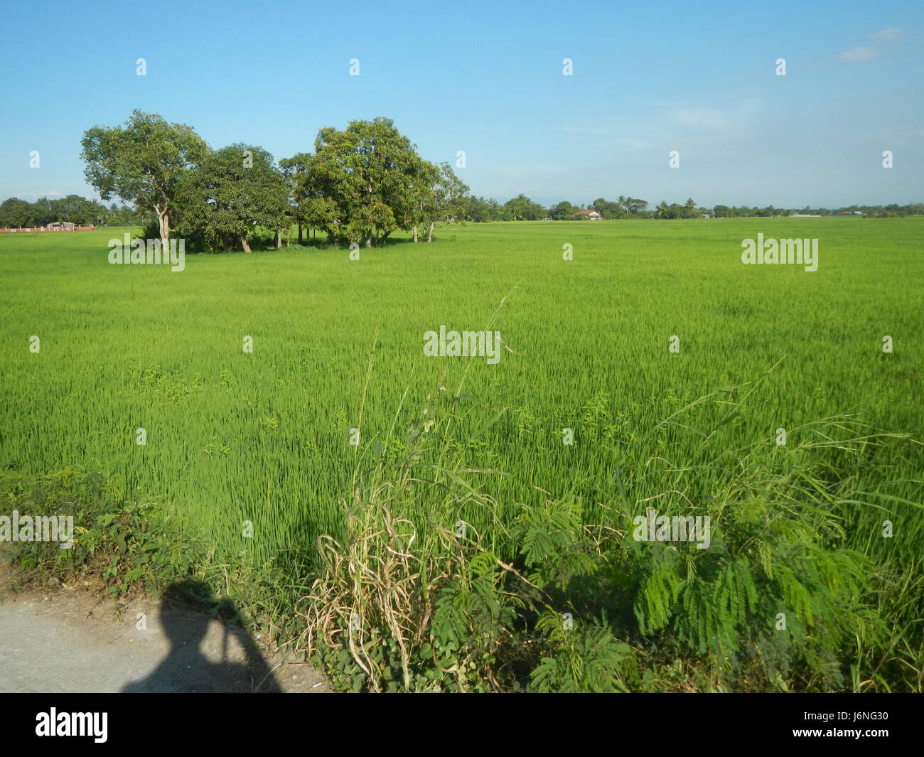 A photograph of the Pritil area in Guiguinto, Bulacan, depicting the ...