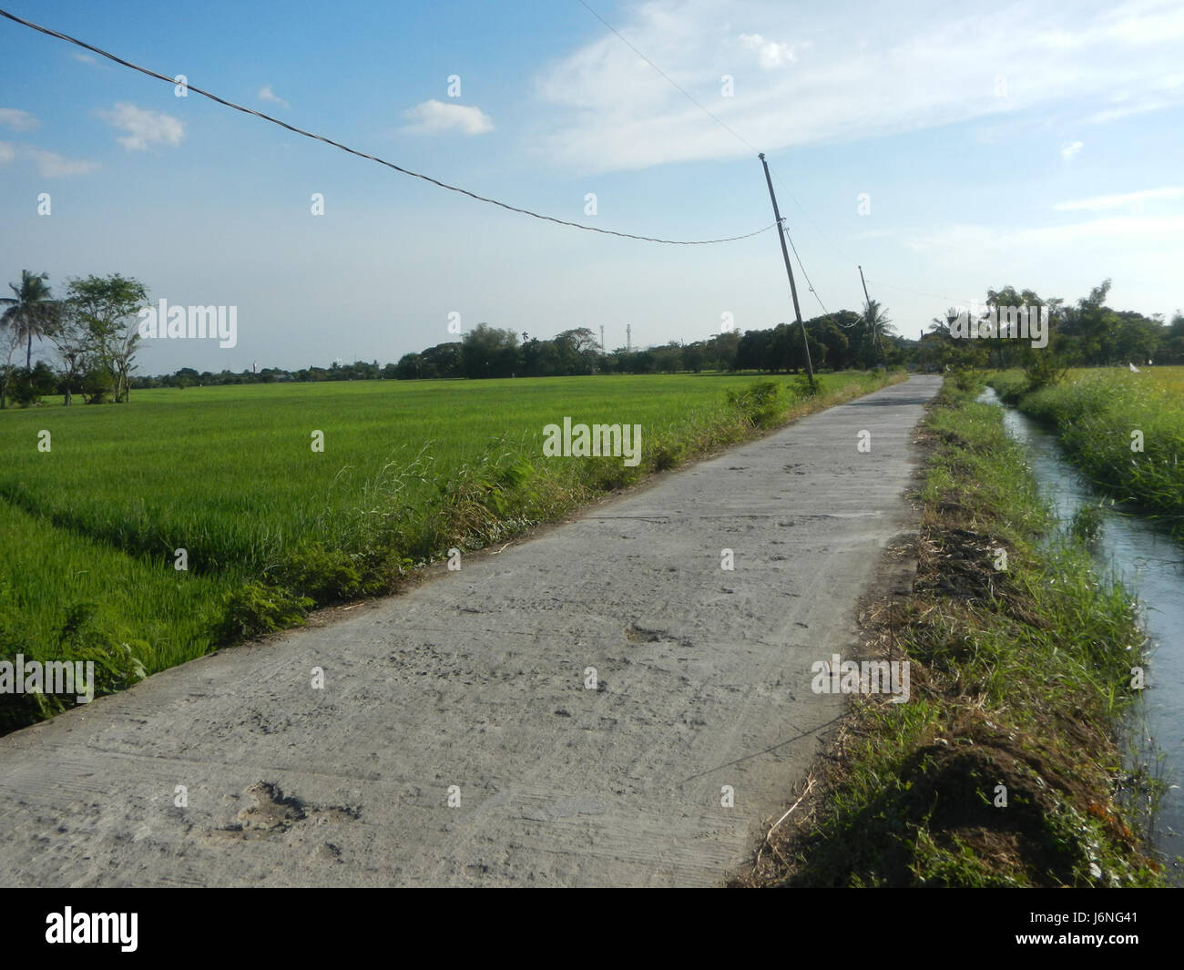 The Pritil paddy fields in Guiguinto, Bulacan, are part of the ...