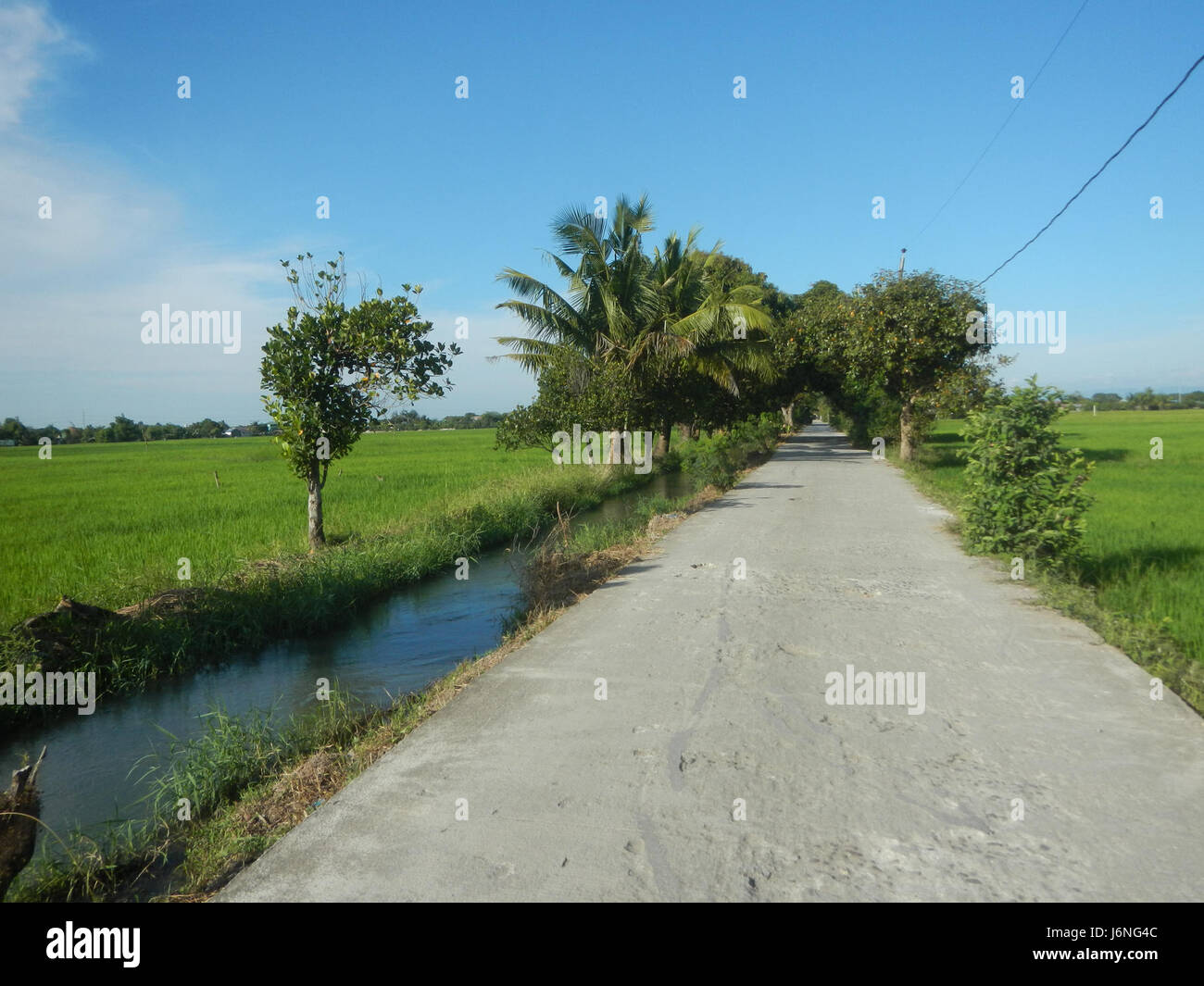 The Pritil area in Guiguinto, Bulacan, is known for its lush paddy ...