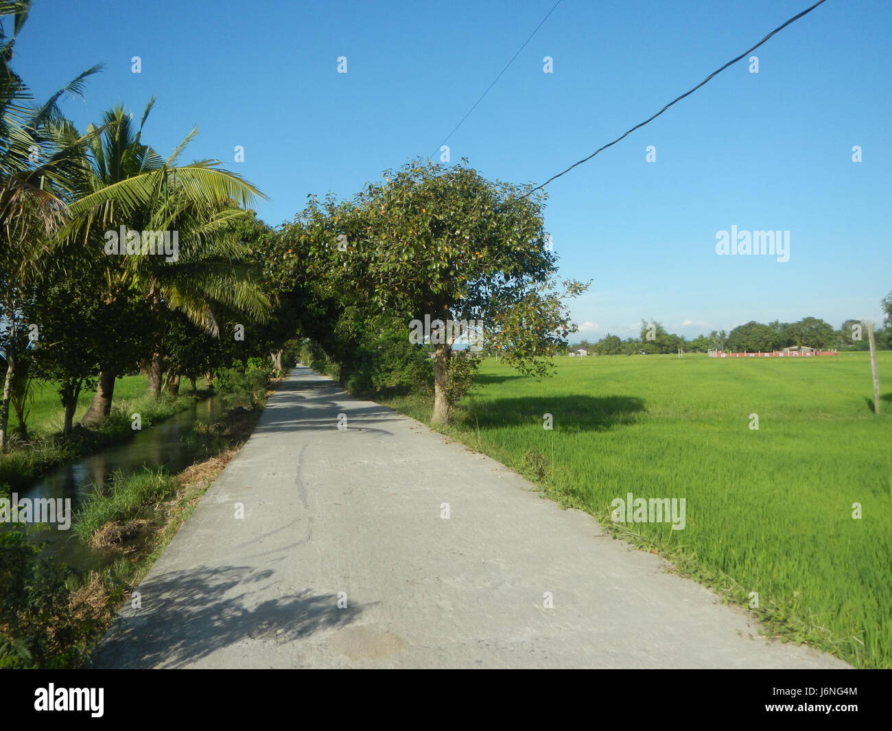This image depicts the paddy fields of Pritil, located in Guiguinto ...