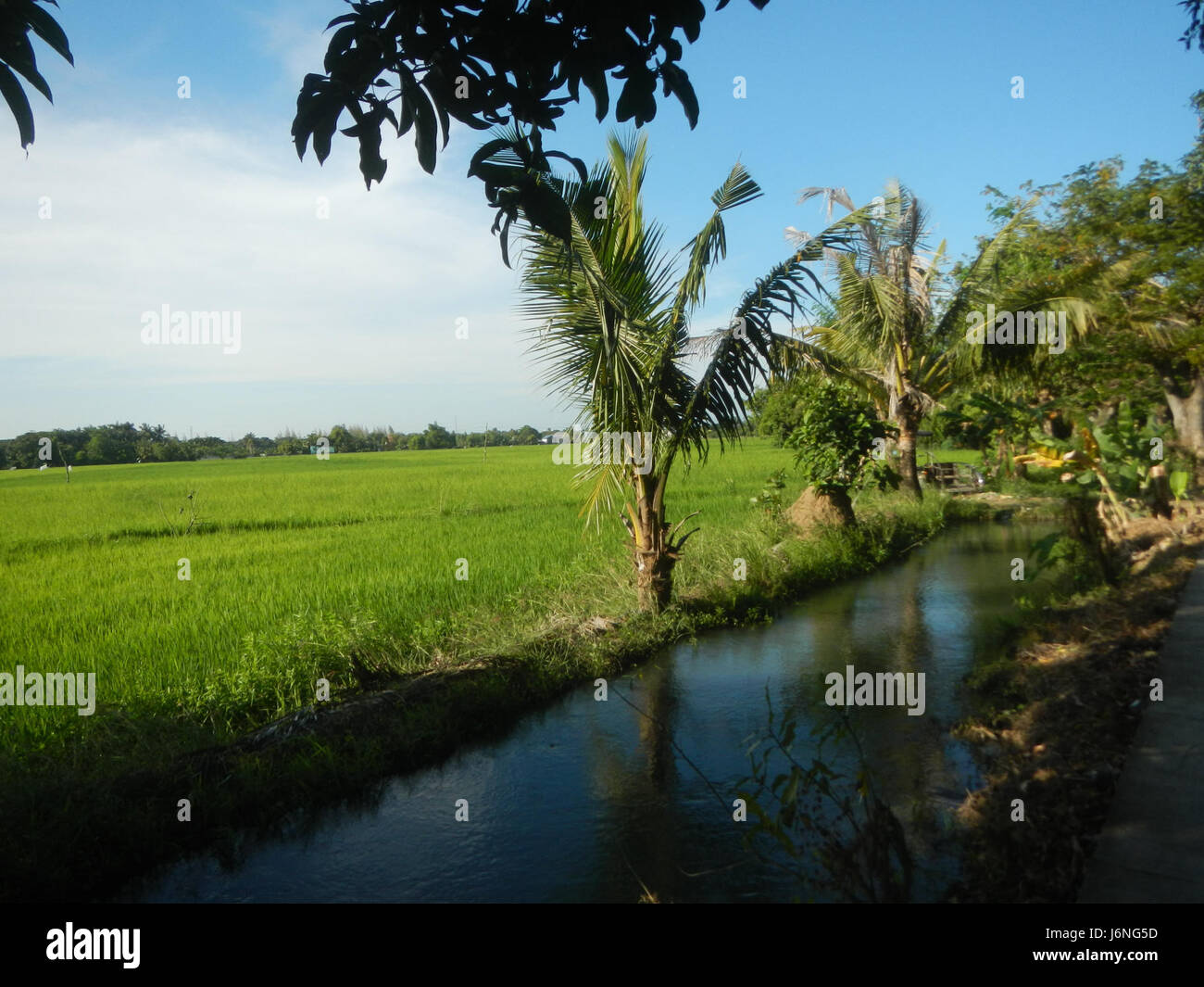 This image shows a rural agricultural area in Guiguinto, Bulacan ...