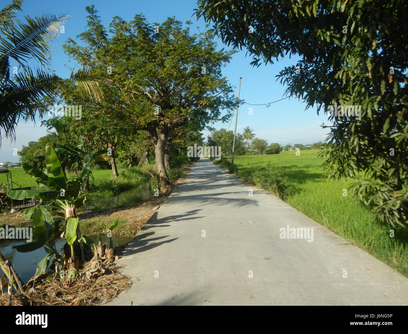 The image showcases the Pritil paddy fields in Guiguinto, Bulacan ...
