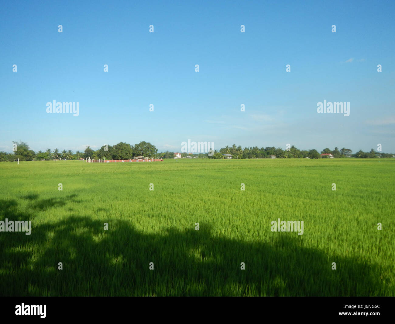 The image shows paddy fields, grasslands, and irrigation systems in ...