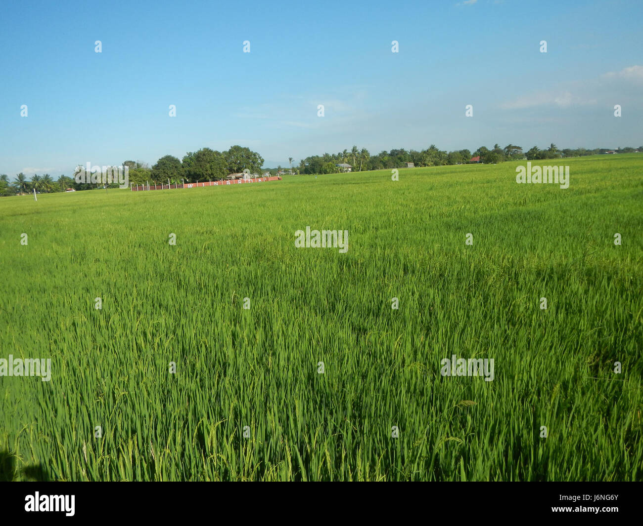An aerial or detailed image of the Pritil area in Guiguinto, Bulacan ...