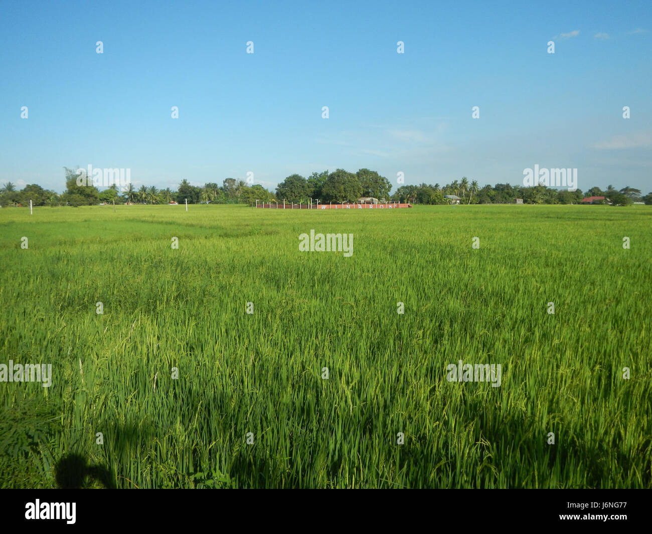 This image captures the Pritil paddy fields and surrounding landscape ...