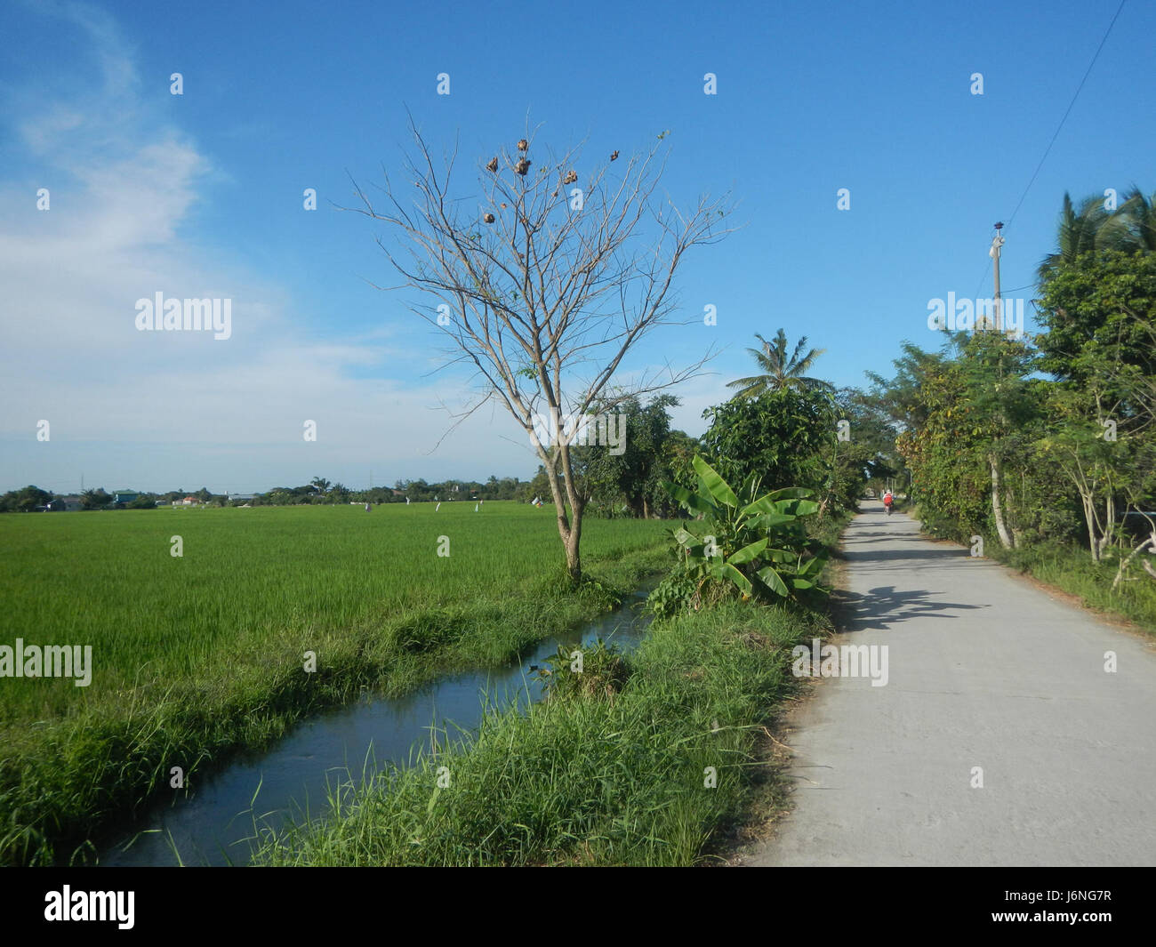 The image represents the agricultural landscape of Pritil, located in ...