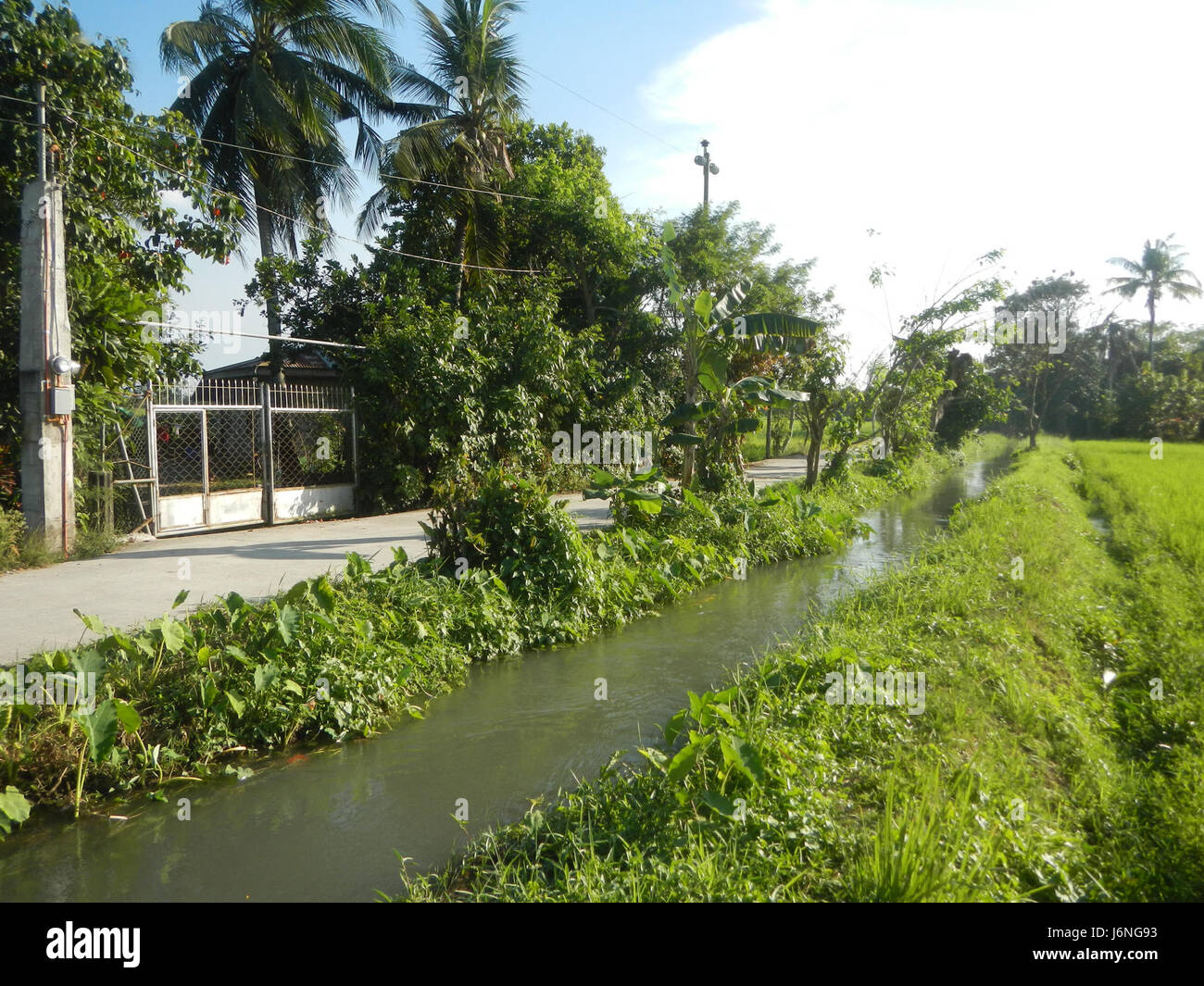 09843 Pritil paddy fields Guiguinto, Bulacan Farm Market Road 02 Stock ...