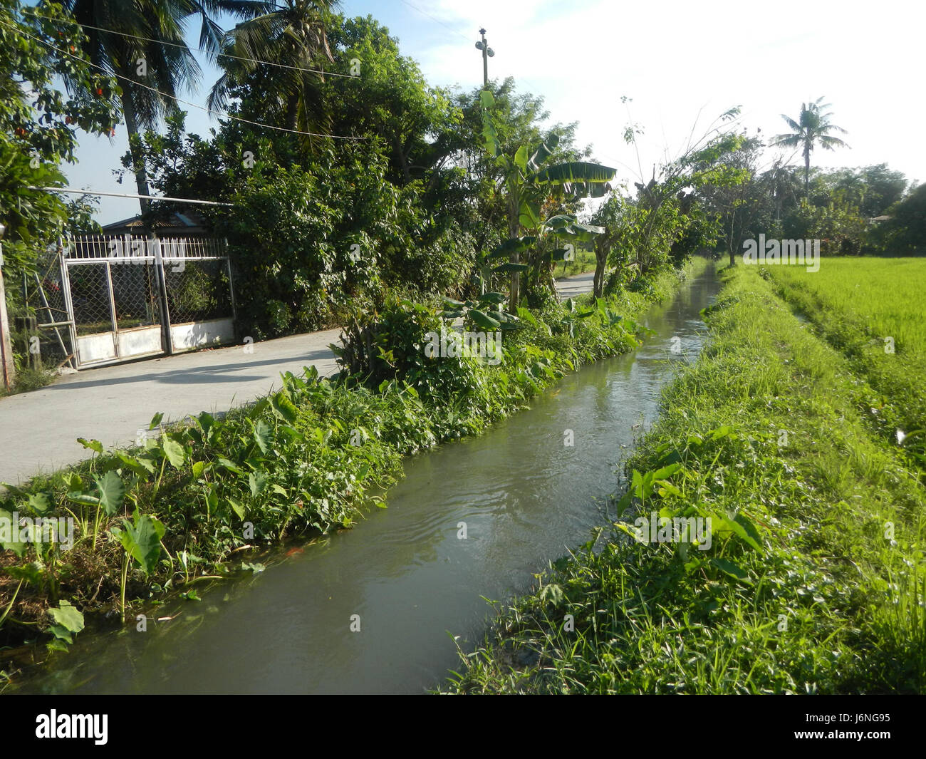 Market Value Of Land In Guiguinto Bulacan at Gemma Nock blog