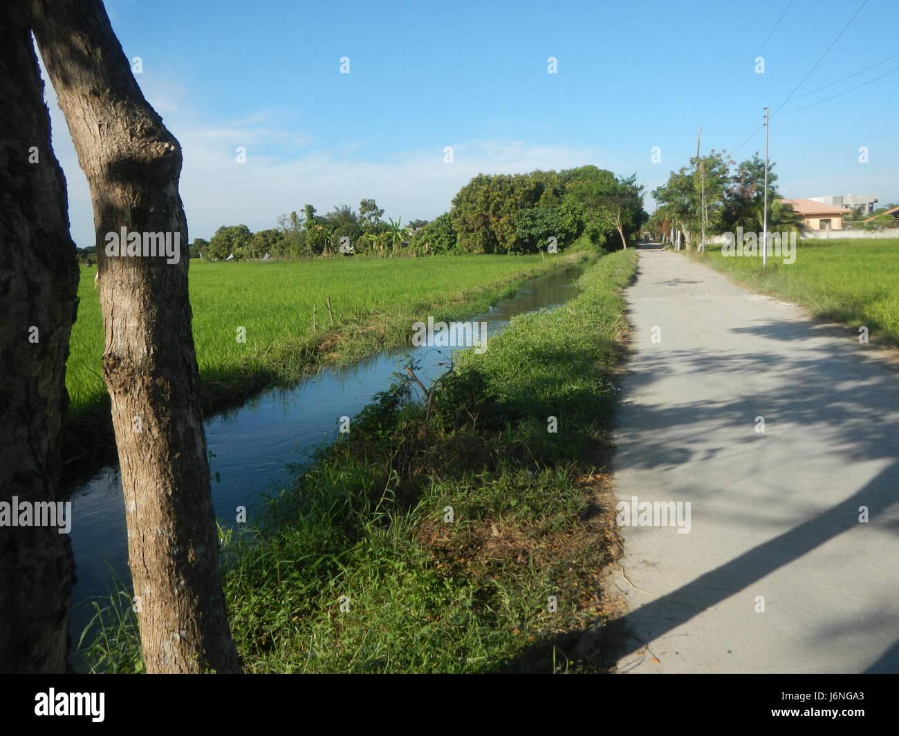 This image shows the paddy fields in Guiguinto, Bulacan, a region in ...