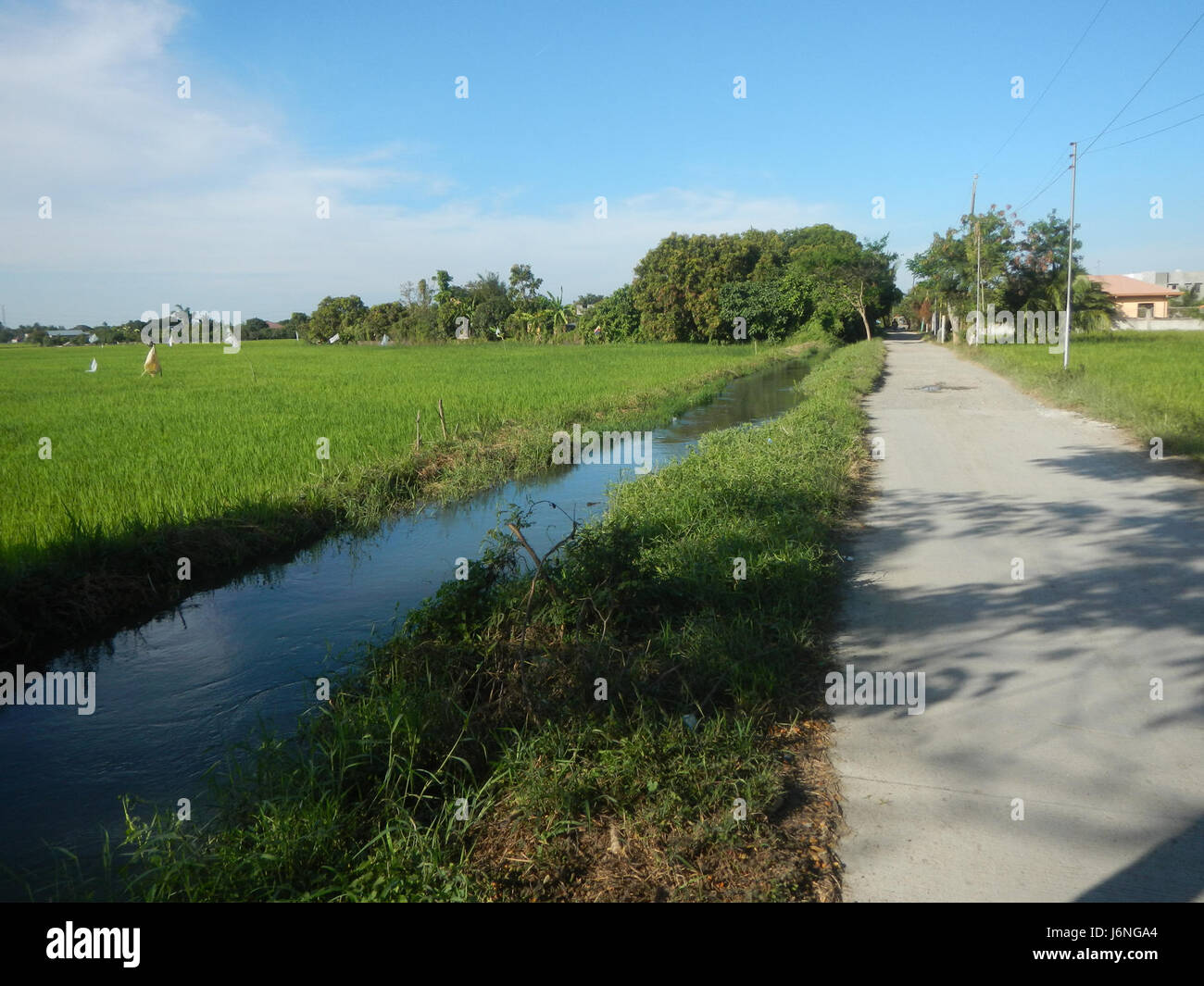 09843 Pritil paddy fields Guiguinto, Bulacan Farm Market Road 28 Stock ...