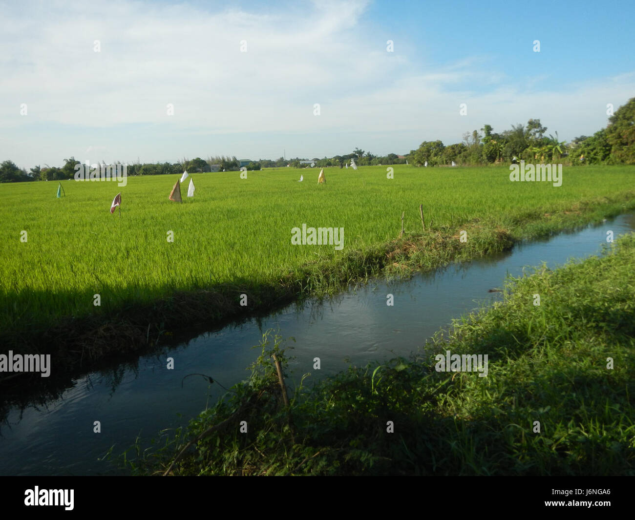 09843 Pritil paddy fields Guiguinto, Bulacan Farm Market Road 30 Stock ...