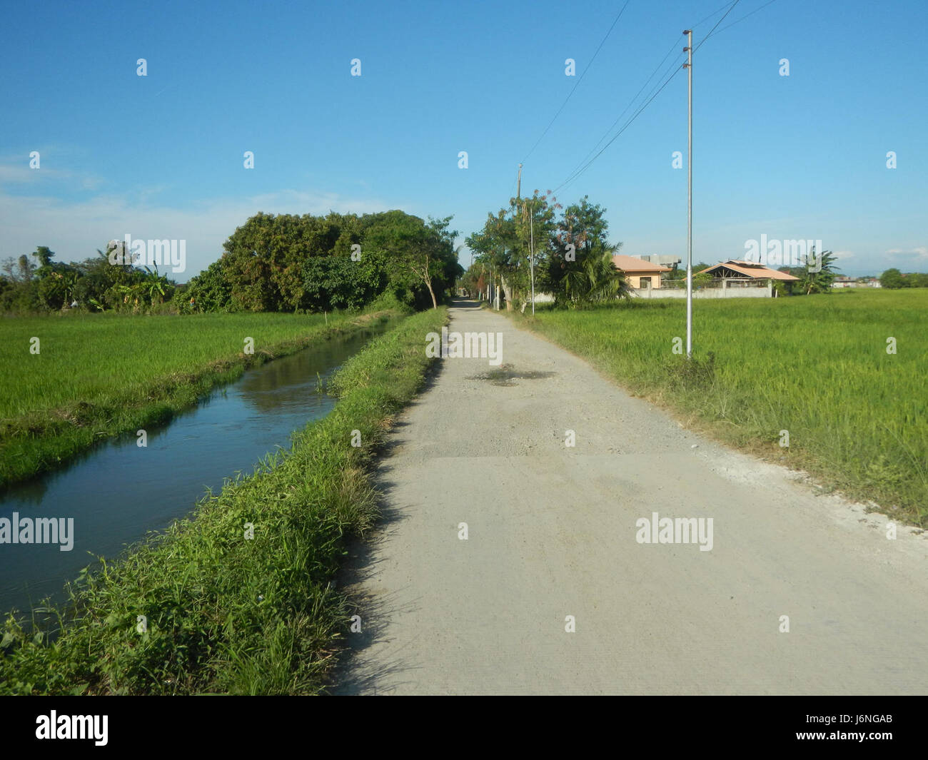 A view of the Pritil paddy fields in Guiguinto, Bulacan, located along ...