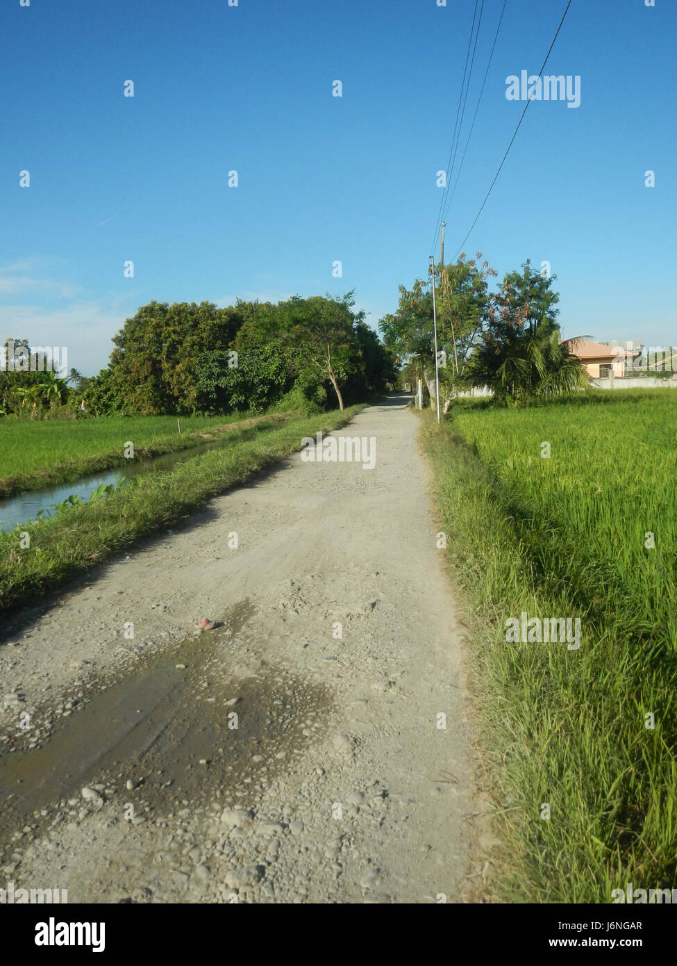 09877 Pritil paddy fields Guiguinto, Bulacan Farm Market Road 11 Stock ...