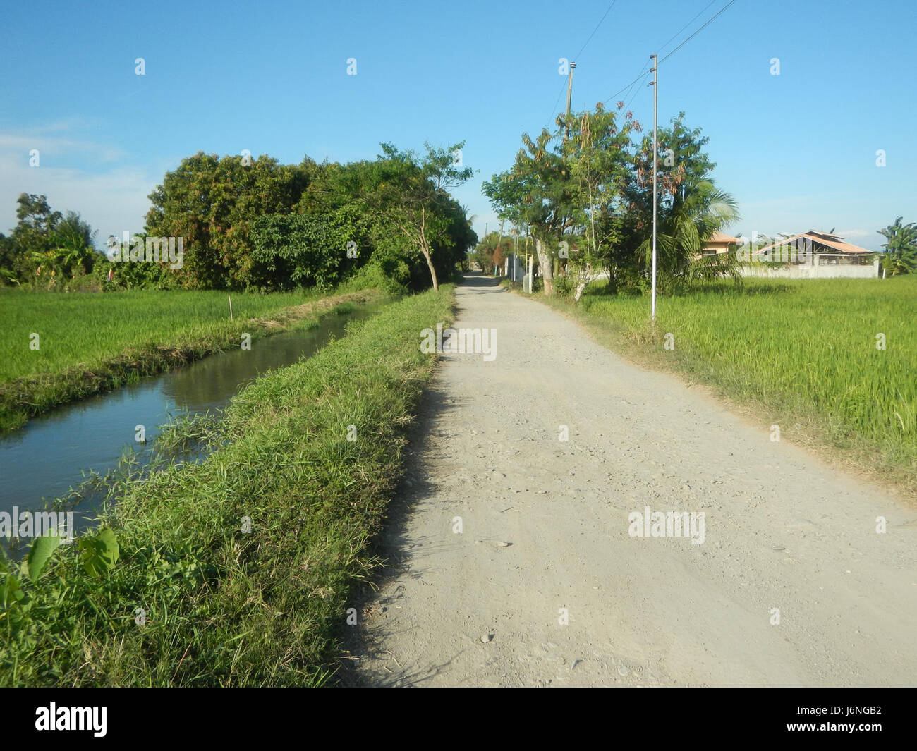 09877 Pritil paddy fields Guiguinto, Bulacan Farm Market Road 18 Stock ...