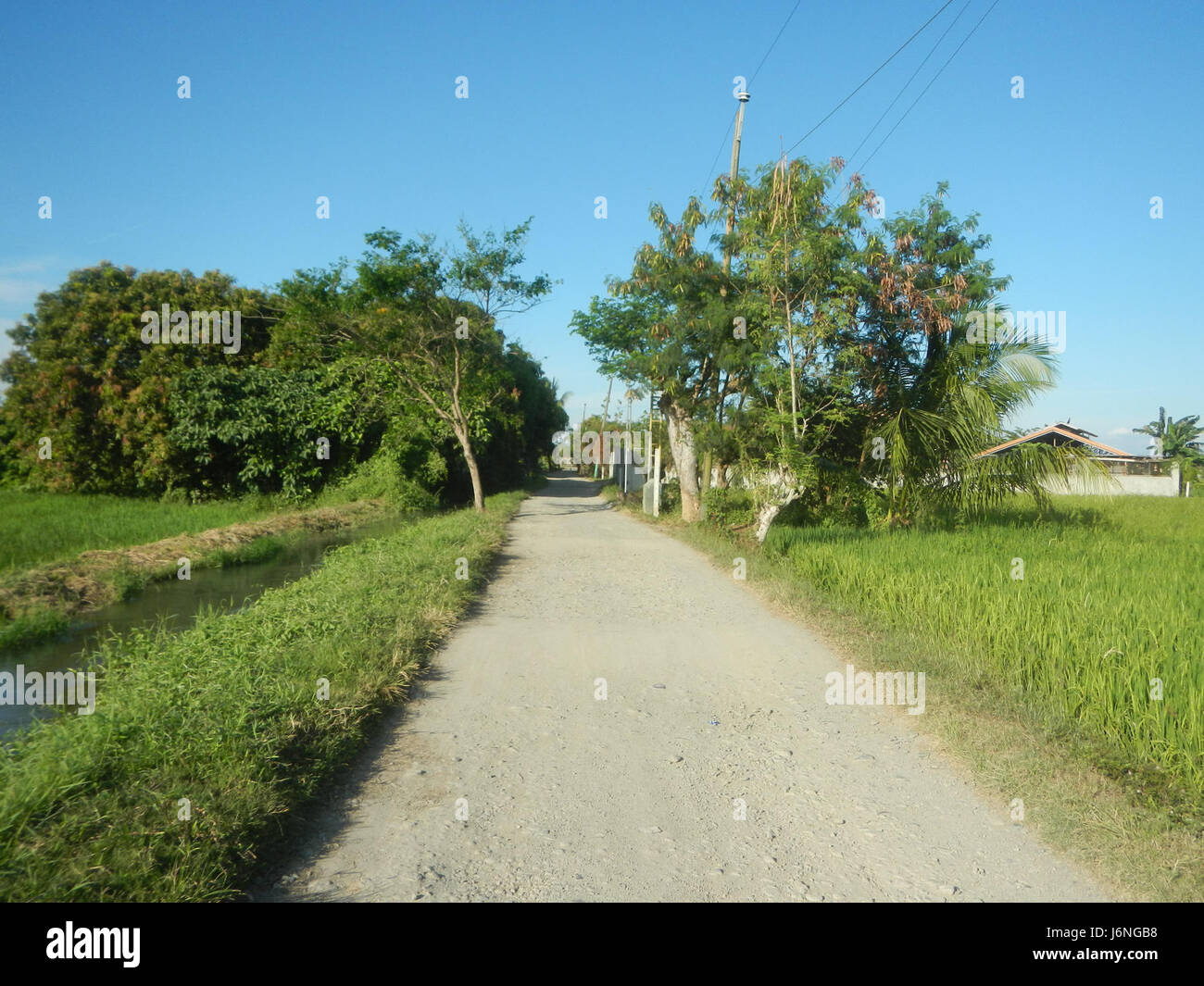 09877 Pritil paddy fields Guiguinto, Bulacan Farm Market Road 23 Stock ...