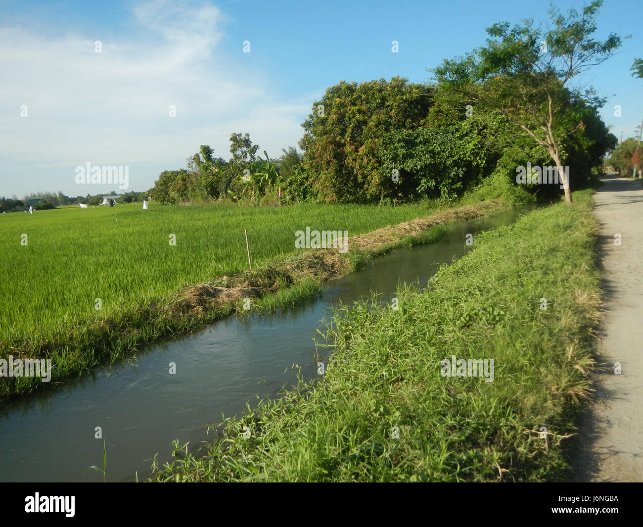 09877 Pritil paddy fields Guiguinto, Bulacan Farm Market Road 25 Stock ...