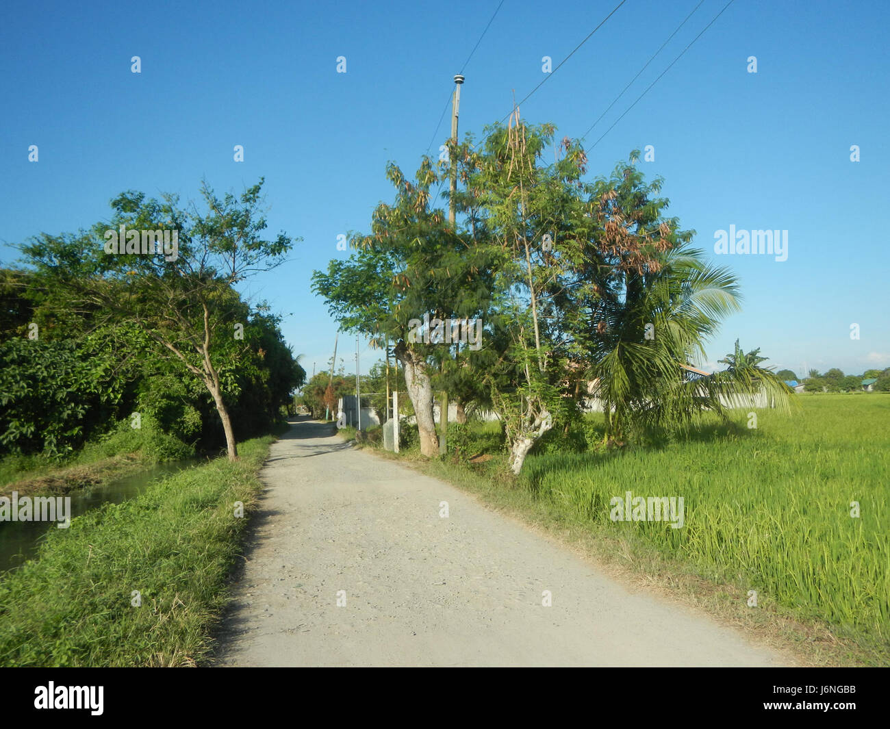 Pritil paddy fields in Guiguinto, Bulacan, are an important part of the ...