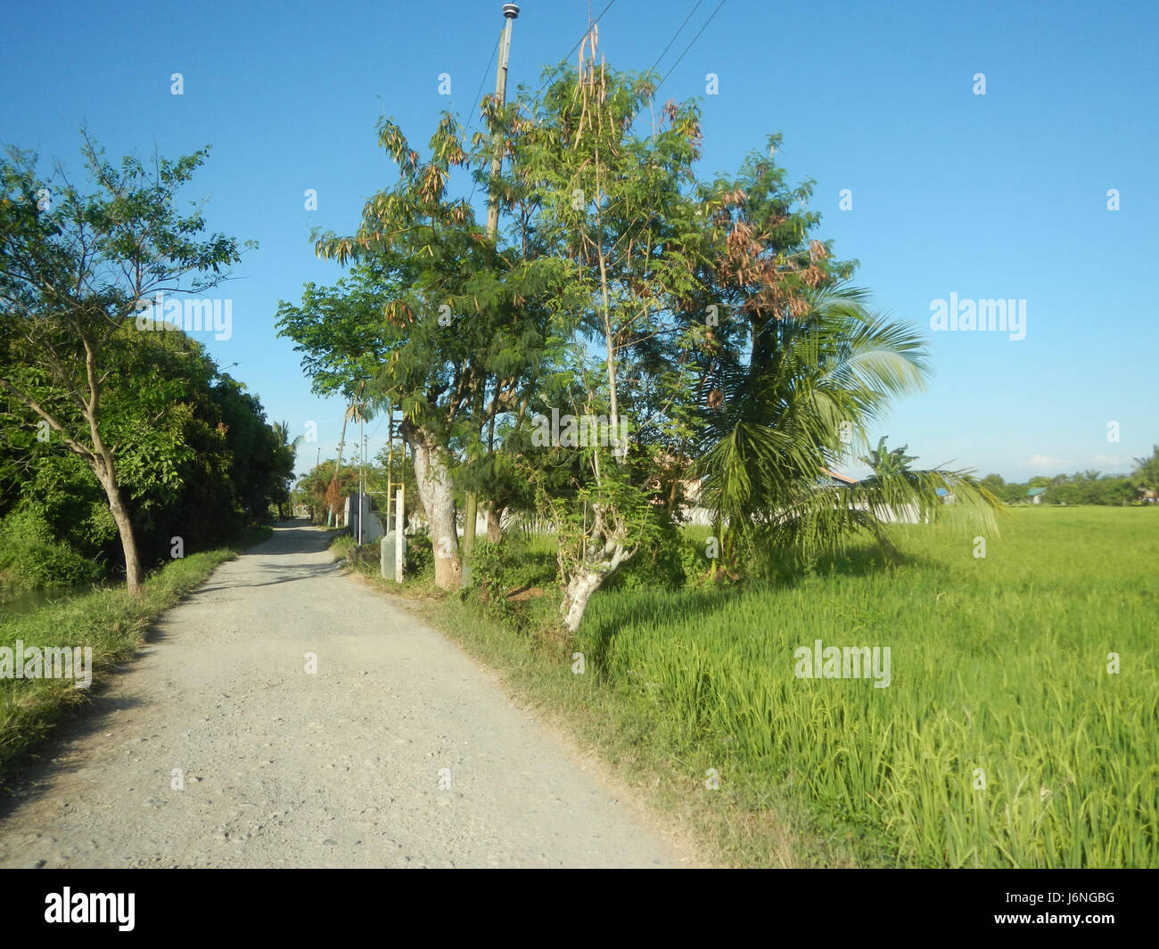 09877 Pritil paddy fields Guiguinto, Bulacan Farm Market Road 29 Stock ...