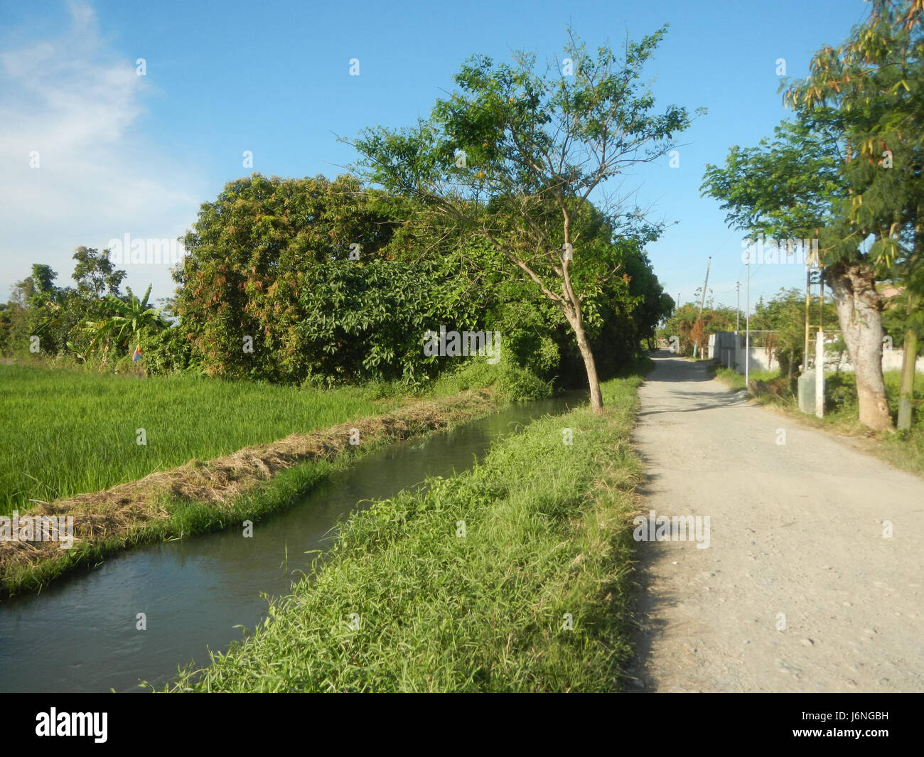 A photograph of the Pritil paddy fields in Guiguinto, Bulacan ...