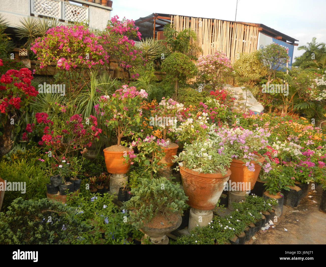 07822 Garden City Santa Cruz Guiguinto, Bulacan 01 Stock Photo - Alamy