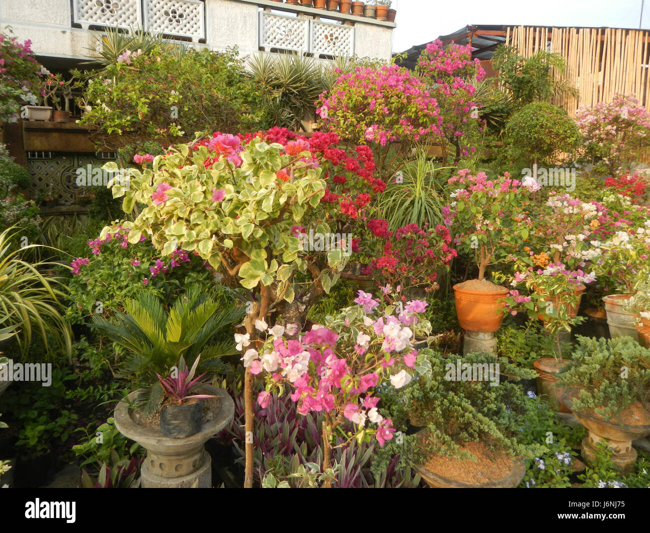 Garden City Santa Cruz in Guiguinto, Bulacan, is a residential ...