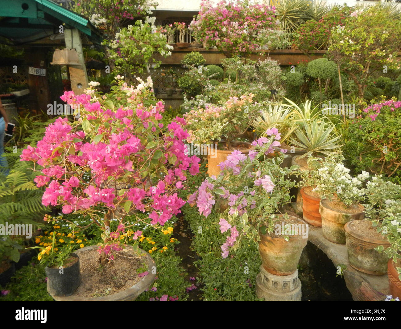 07822 Garden City Santa Cruz Guiguinto, Bulacan 04 Stock Photo - Alamy