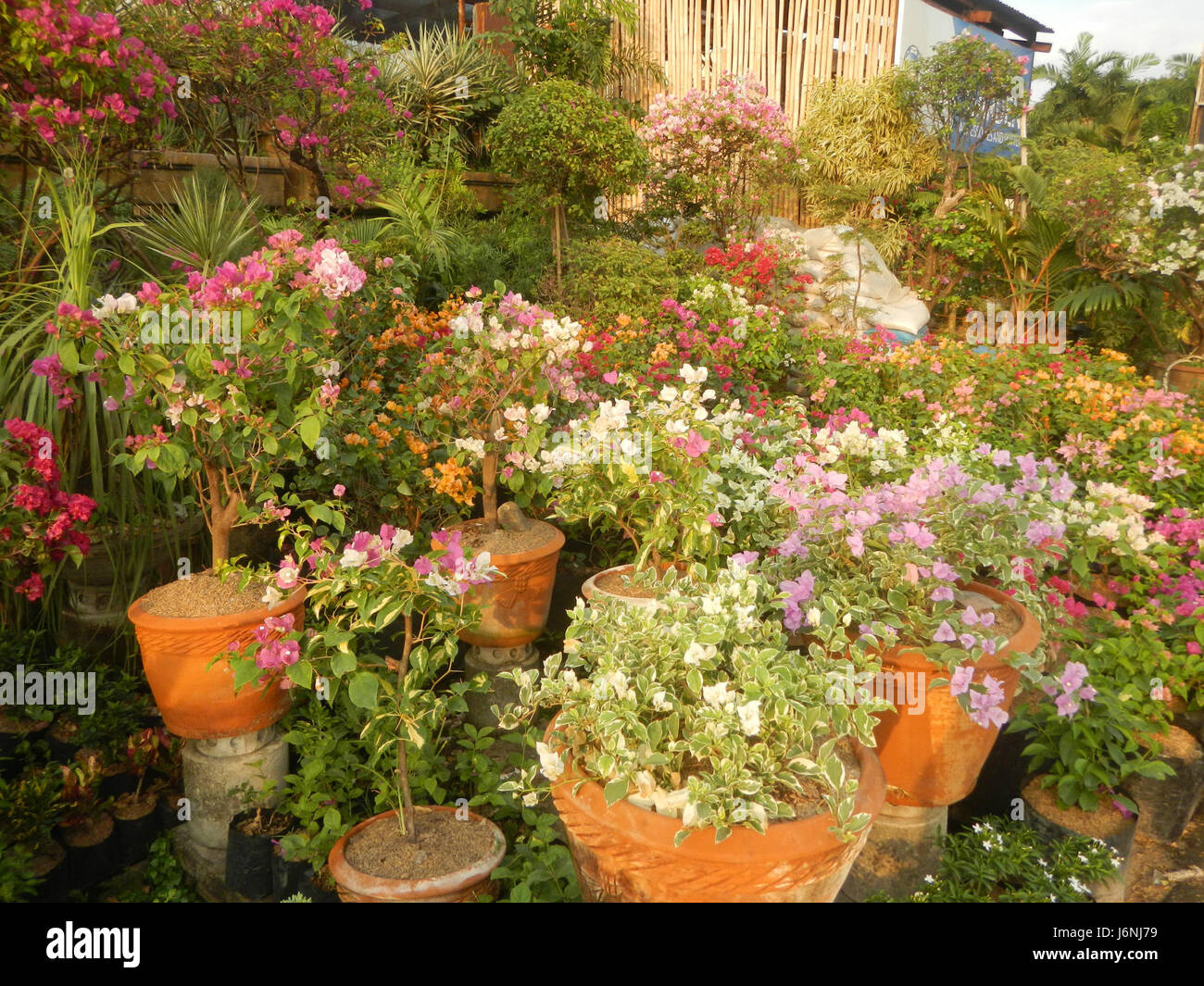 07822 Garden City Santa Cruz Guiguinto, Bulacan 07 Stock Photo - Alamy