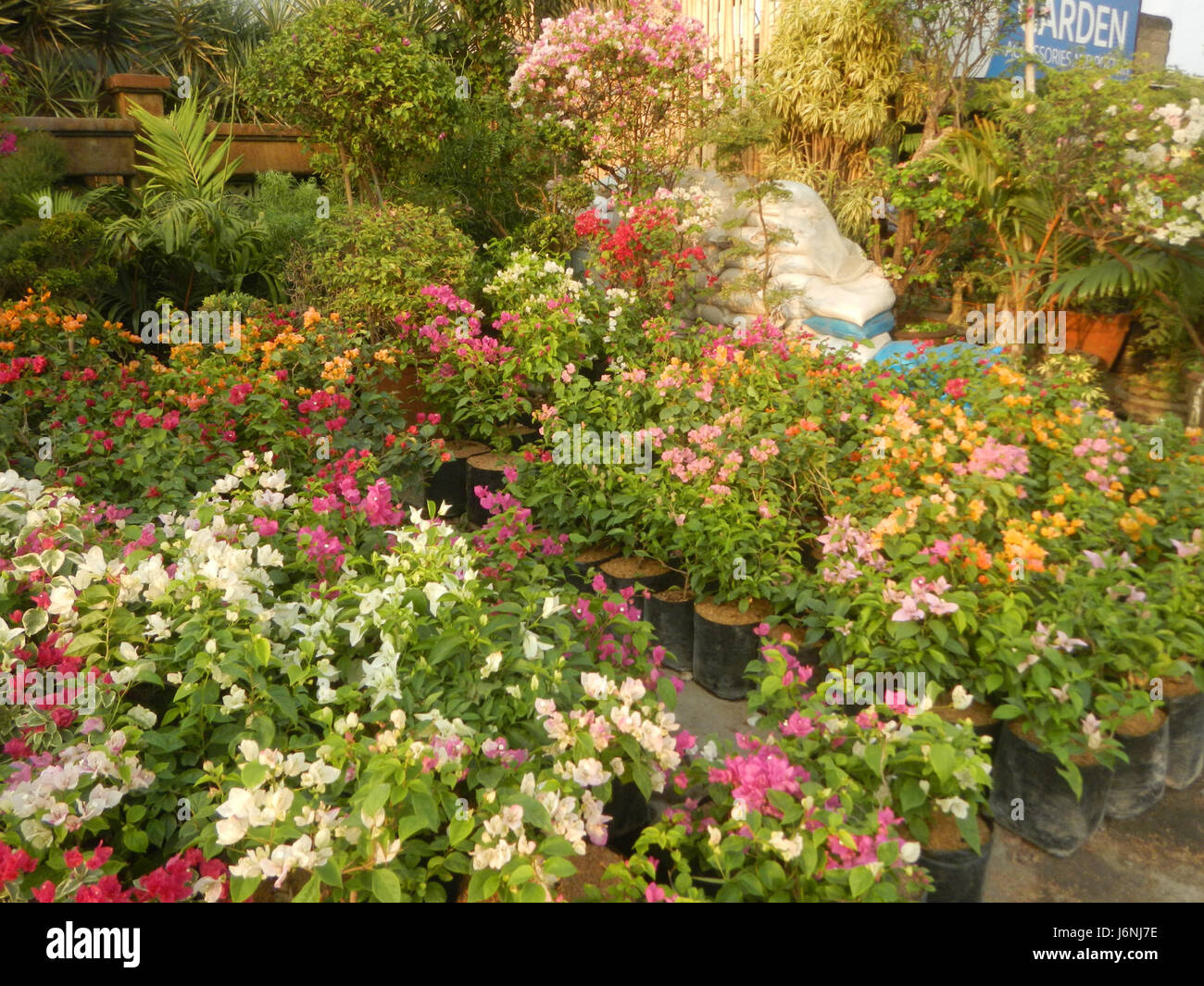 This location refers to the Garden City in Santa Cruz, Guiguinto ...