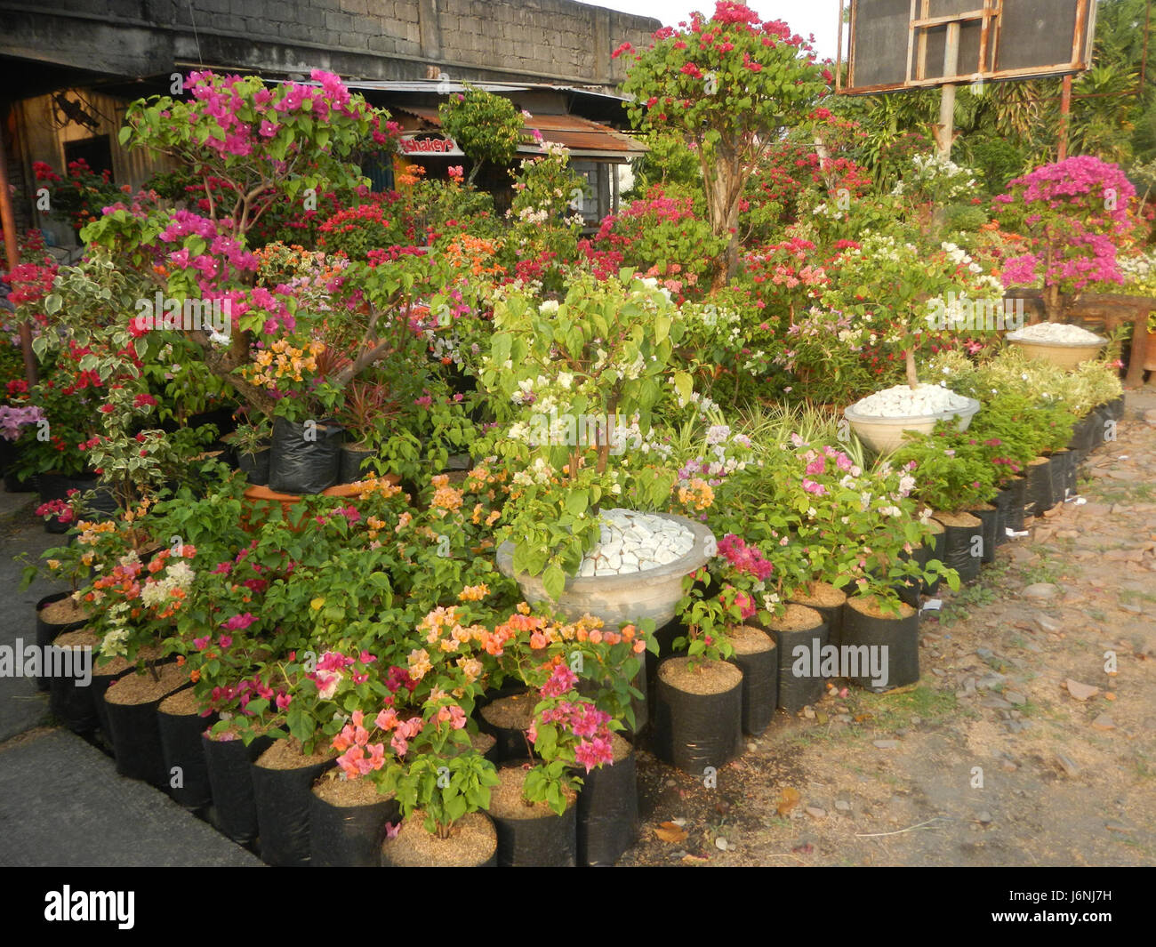 This title refers to Garden City, located in Santa Cruz, Guiguinto ...