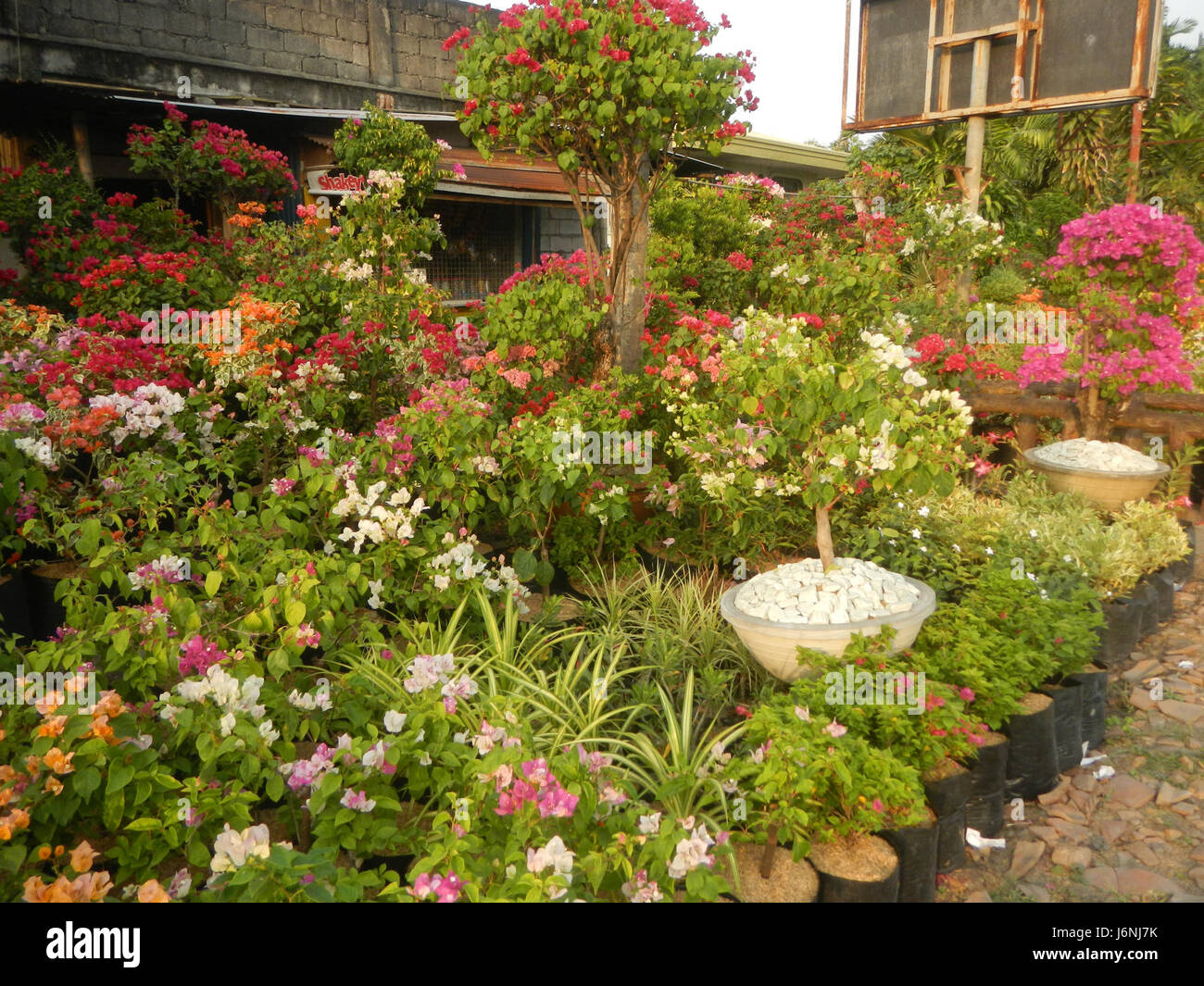 Map or image of the roads and locations around Garden City, Santa Cruz ...