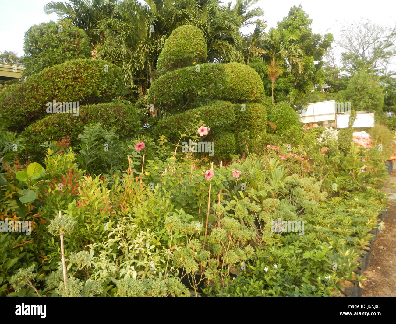 This image is of Garden City in Santa Cruz, Guiguinto, Bulacan. It ...