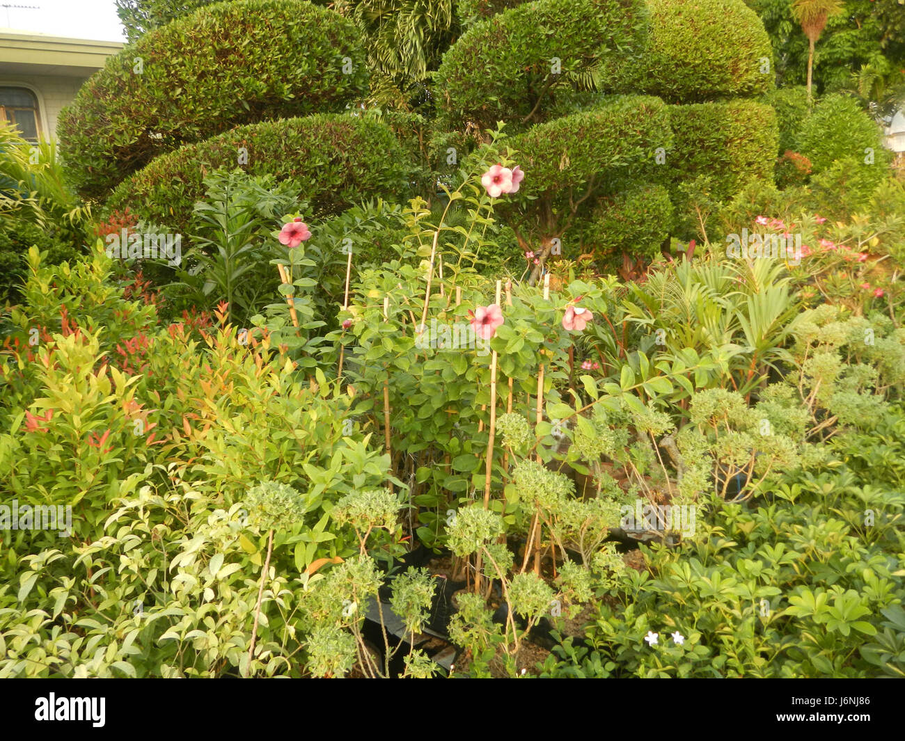 07850 Garden City Santa Cruz Guiguinto, Bulacan 02 Stock Photo - Alamy