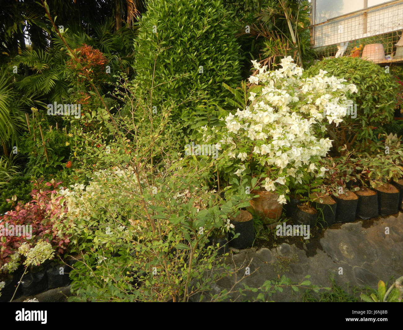 07850 Garden City Santa Cruz Guiguinto, Bulacan 06 Stock Photo - Alamy