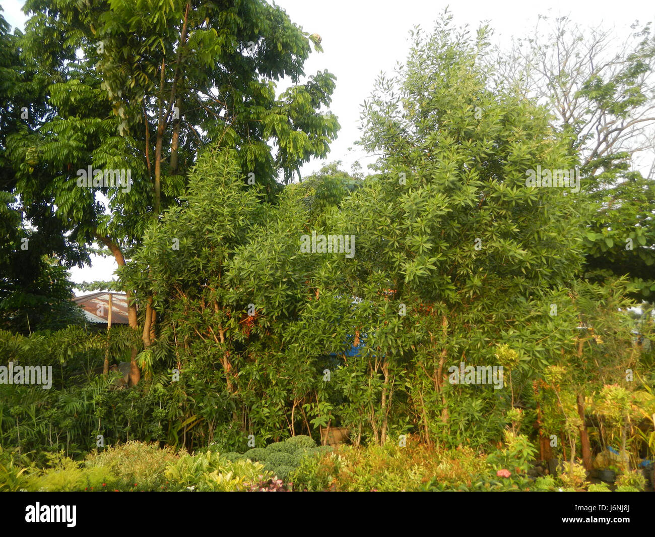 This photograph captures the Garden City area in Santa Cruz, Guiguinto ...