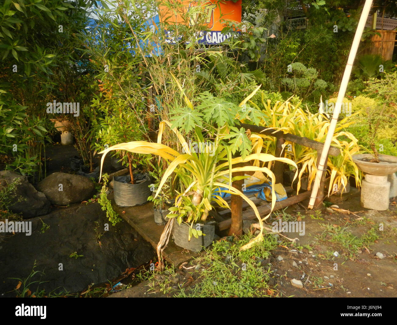 07850 Garden City Santa Cruz Guiguinto, Bulacan 23 Stock Photo - Alamy